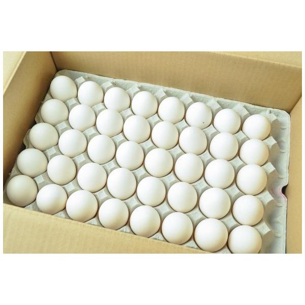 業務向けのバラ詰め箱です、賞味期限は納品後1週間程度。産地は国内各地です。　　爆買