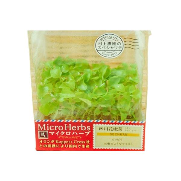 マイクロハーブは、様々な野菜の新芽を栽培したもので、新芽に多く含まれる栄養素を摂取することを目的として作られた野菜ですが、いまでは彩りやサラダのアクセントなどに使用されています。一般的に出回っているものは水耕栽培が多く、水溶性の液肥で育てて...