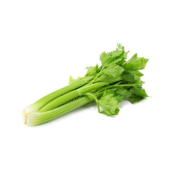 朝・市場に出荷された新鮮な野菜・果物 をその日の夕方に発送致します！（水・日を除く）セロリは独特な風味や香り、食感などから好き嫌いが分かれやすい野菜ですが、たくさんの栄養素を含んでいる淡色野菜です。煮込み野菜や、スープのベースなどにご利用い...