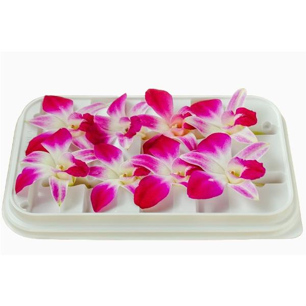 飾り用の花です。食用できません。カクテルなどに添えたり、料理の脇役にご利用ください。オリジナルな華やかさの演出など、ご予約などの記念日にご利用いただいてもいいです。　