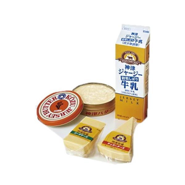 神津牧場で飼育されているジャージー種は人懐っこく、牛の中でも一番頭がよく、体格は小さいですが、その生乳は乳脂肪、乳たんぱくの含有量が高い、という特徴があります。この栄養たっぷりの生乳で作られた乳製品のうち人気の4点を選びました。■ジャージ牛...