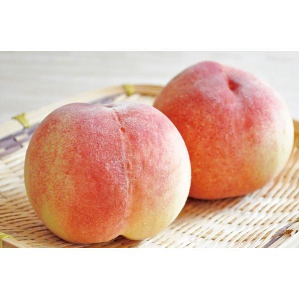 爽やかな夏の味わい。魅惑の果実をお届け。食べごろの桃をお届いたします。山の腐葉土、納豆菌、藁や竹を粉末にし、混ぜ込んだ「土づくり」にこだわり、化学肥料を一切使用せず作った土壌で育てた桃です。桃本来のコクや旨みを出すことにとことん追求しました...