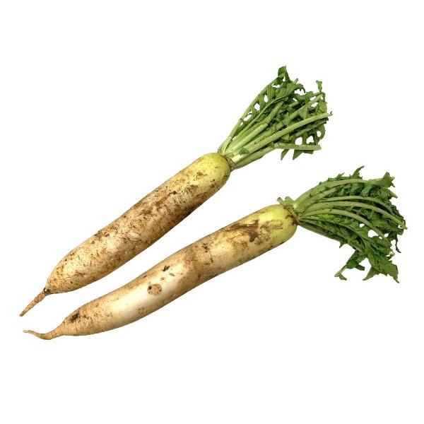 生産者：タテノファーム（山梨県明野町）防除：農薬0回・化肥0回（栽培は有機JAS認証取得していますが、センターで小分けするため０・０となります。）葉切り土付き　　　爆買