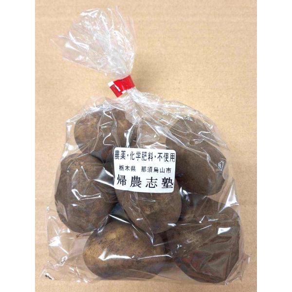 生産者：帰農志塾（栃木県那須烏山市）防除：農薬0回・化肥0回品種：男爵春に沖縄、九州から始まった「じゃがいも前線」は6月になると関東まで北上してきます。ここまで来るとコロッケやポテトサラダに最高なホクホク系品種、男爵やキタアカリなどの品種が...