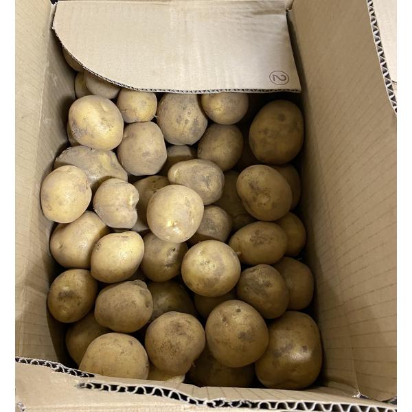 生産者：おかげさま農場（千葉県成田市）防除：農薬0回・化肥0回品種：キタアカリ　　