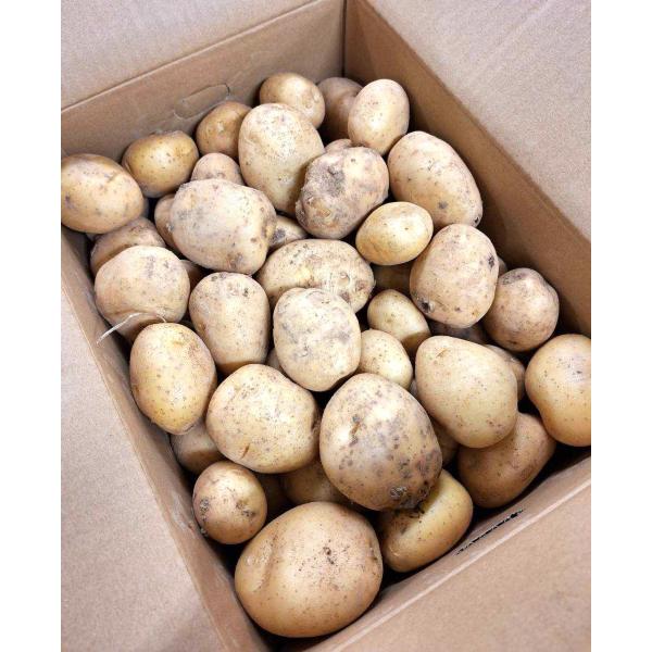 生産者：長崎有機農業研究会（長崎県南島原市）防除：農薬0回(許1）・化肥0回品種：ニシユタカ　　　爆買