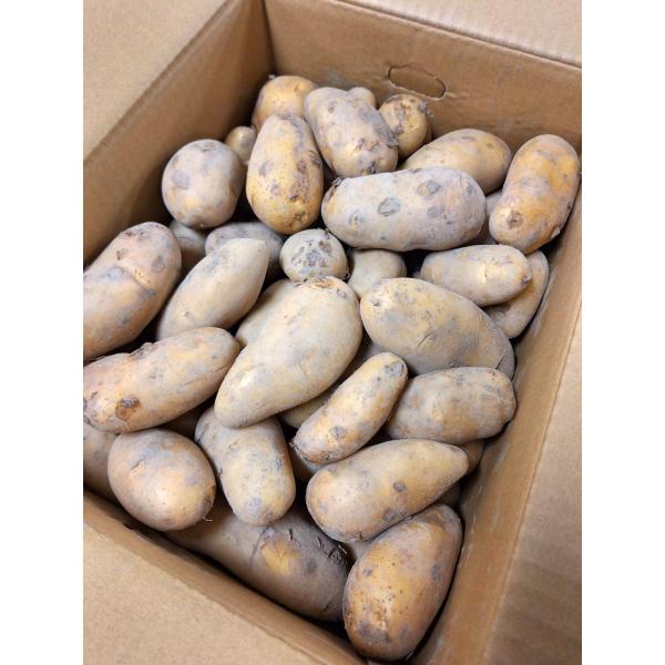 生産者：水の子（熊本県八代市）防除：農薬6割減（虫2菌2）・化肥5割減品種：メークインメークインは、ジャガイモの品種の中でも、ねっとりとした食感やほくほく感が特徴的な品種です。煮込み料理やポテトサラダ、ほかにも炒め物やカレー、コロッケなど、...