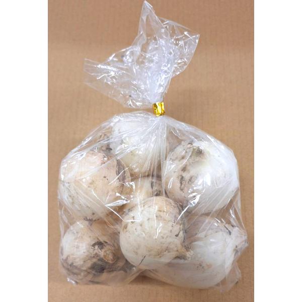 生産者：グリーンジャンクション（和歌山県紀の川市）防除：農薬0回・化肥0回品種名：ホワイトベアー果皮も果肉も真っ白な白い玉ねぎです。生でも辛みがほとんどなく、甘みが強く、タマネギ独特の癖が少なく、サラダに向いています。爆買
