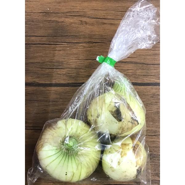 生産者：伊熊勇樹（静岡県浜松市）防除：農薬0回・化肥8割減扁平なサラダタイプの白玉ねぎではなく、通常のタイプの玉ねぎの新物です。