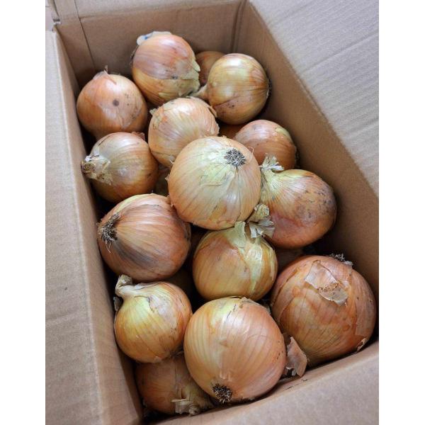 生産者：山崎隆弘（兵庫県淡路市）防除：菌1（許2）・化肥0回品種：七宝、アンサー、ターザンなど　　