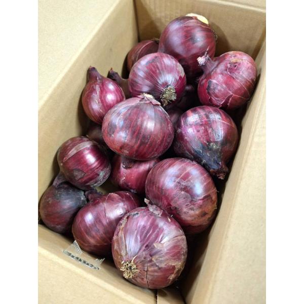 生産者：長有研（長崎県南島原市）防除：農薬0回・化肥0回　　　爆買