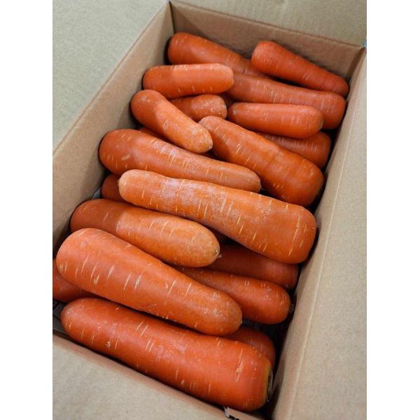 生産者：市川雅視 他（千葉県富里市・八街市）有機JAS認証 許容農薬不使用洗いになります。　