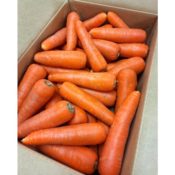 生産者：ベジタブルワークス（北海道真狩村）防除 ：農薬6割減(虫3菌3)（許1)・化肥5割減品種：紅あかり　要冷蔵です10kg箱（60〜350g/本)フルーツみたいに甘い人参です。ジュースやサラダでぜひどうぞ。爆買