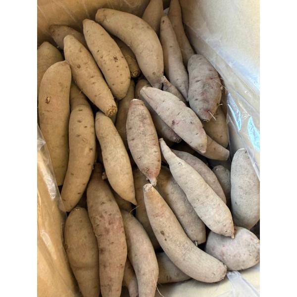 生産者：平形清人（群馬県高山村）防除：農薬0回 化肥0回　（自然栽培）農薬も肥料も投入しない自然栽培です。爆買