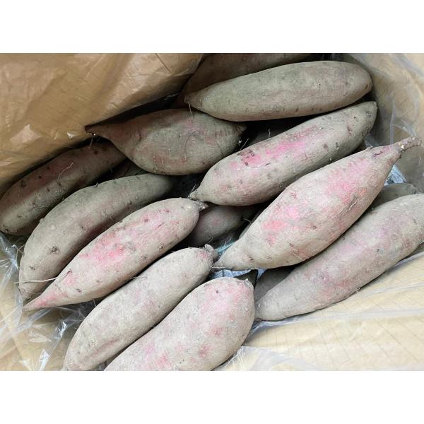 生産者：平形清人（群馬県高山村）防除：農薬0回 化肥0回　（自然栽培）農薬も肥料も投入しない自然栽培です。爆買