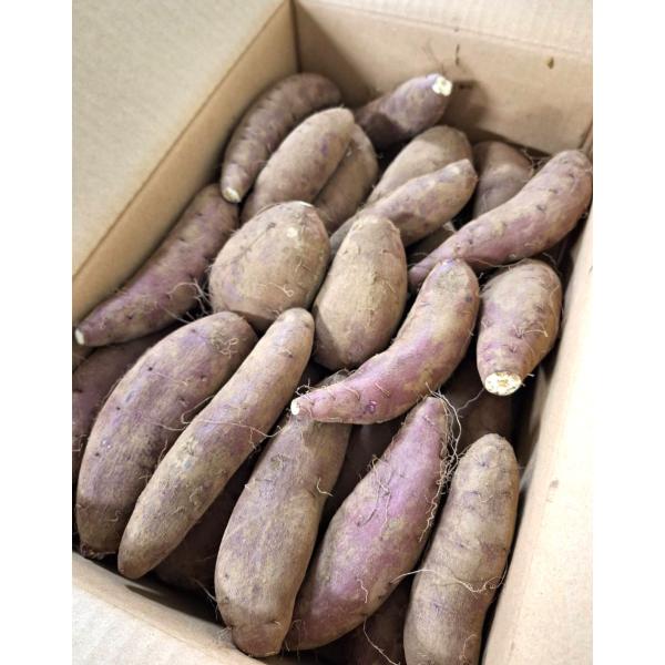 生産者：おかげさま農場（千葉県成田市）防除：農薬0回・化肥0回品種：シルクスイートシルクスイートは、少し甘めの「春こがね」と、程よい滑らかな食感をもつ「紅まさり」、二つを交配させて生まれたものです。採れたてで焼くと、ほくほく系の甘い焼きいも...