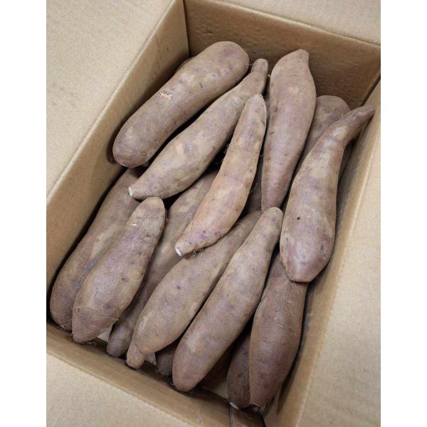 生産者：さんぶ野菜ネットワーク （千葉県山武市）有機JAS認証(許2)2025年秋収穫のものを貯蔵しています。貯蔵中にでんぷんが糖化し、さらに甘くなります。品種は、べにはるか です。　　爆買