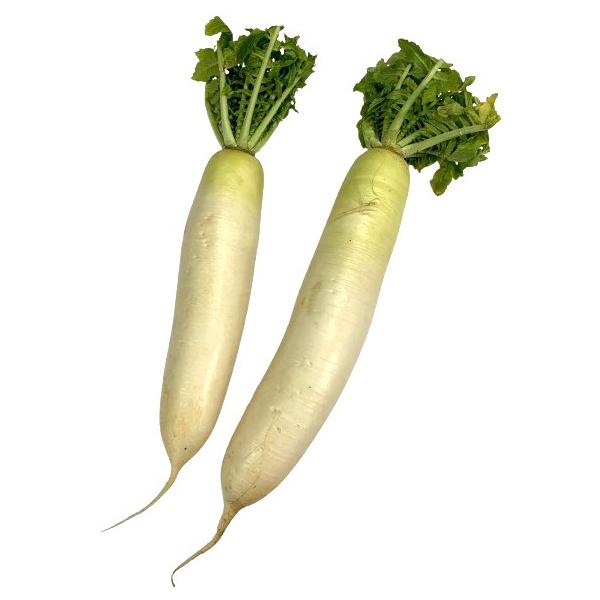 生産者：はぎわらファーム（千葉県銚子市）防除：農薬0回・化肥0回銚子市が銚子港で水揚げされる魚で有名なのは、近くを黒潮が流れているから。その黒潮と日照時間の長さのため温暖な銚子市は真冬でも多くの作物が作れ、美味しい農産物でも知れらています。...