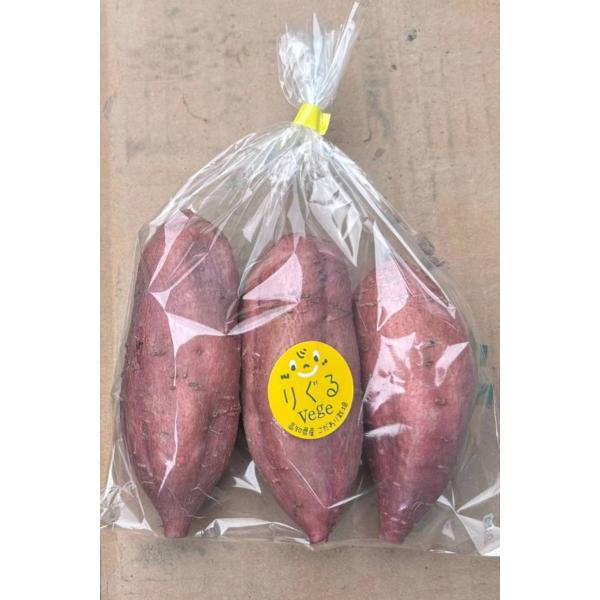 生産者：りぐるVege（高知県春野町）防除：農薬0回・化肥0回品種：安納芋＊小玉サイズです。◆伝統野菜の「畑のスイーツ」。種子島の安納地区で昔から作られ続けて来た安納芋は、驚くほど強い甘味とネットリした食感がこの20年ほどの間に「畑のスイー...