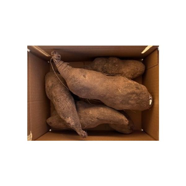 生産者：アフリオ（千葉県）防除：農薬0回・化肥0回粘りが強い、紫色の山芋です。長芋は水分が多くすりおろしてそのままサラサラと食べられますが、いわゆる山芋や大和芋、伊勢芋や、自然薯と呼ばれる芋は同じヤマノイモ科でも粘りが強く、すりおろして箸で...