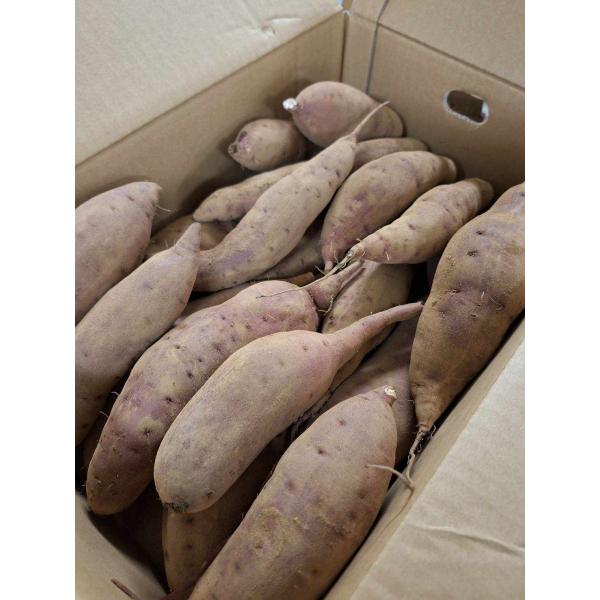 生産者：飯塚功（茨城県鉾田市）防除：農薬0回・化肥0回品種：べにはるか飯塚功さんがさつまいもを栽培している茨城県鉾田市は行方台地と呼ばれ、その土壌は赤土で水はけがよく、美味しいさつまいもの産地として知られています。飯塚さんはキュアリングと呼...