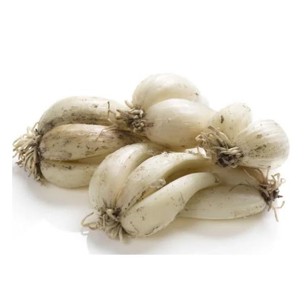 生産者：宮崎日向ファーム（宮崎県西都市）防除：虫1（許1）・化肥0回初夏収穫されるらっきょうです。自然の甘みが強く、くさみが少ないことも大きな魅力です。自分で甘酢漬けを作れば、好きな甘さや歯ごたえにできます。バラで土付根付です。10キロ箱に...