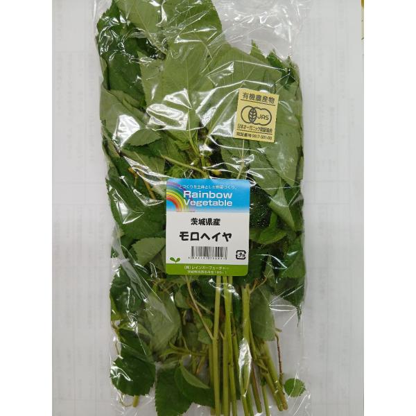 生産者：レインボーフューチャー（茨城県筑西市）有機JAS認証（許0)モロヘイヤはエジプト原産といわれ、真夏でも栽培しやすく、1980年代に日本で広まった新顔野菜です。クレオパトラが愛した野菜として知られています。