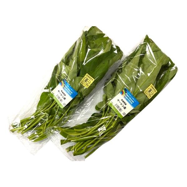生産者：レインボーフューチャー（茨城県筑西市）有機JAS認証（有機許容農薬不使用）「エンサイ」とも呼ばれますが、正式な品種名は「ヨウサイ」。「空芯菜」という名では商標登録されています。空心菜の炒め物は中華や東南アジアの料理の定番メニューです...