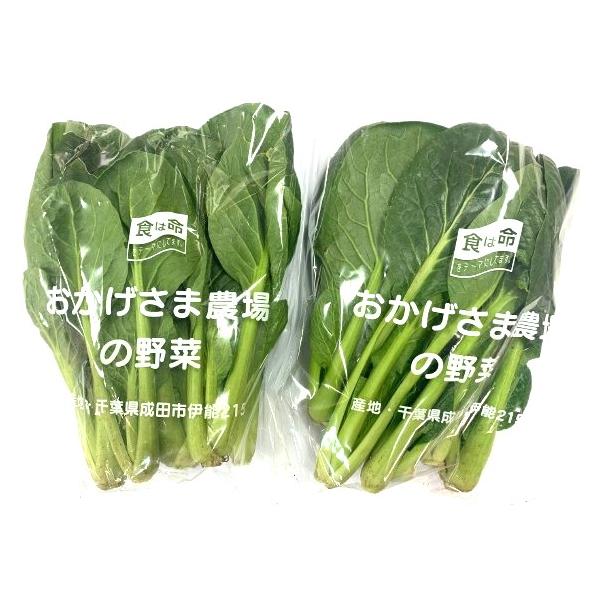 生産者：おかげさま農場（千葉県成田市）防除：農薬0回・化肥0回　
