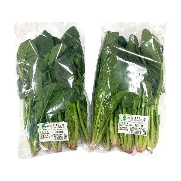 生産者：さんぶ野菜ネットワーク（千葉県山武市）防除：農薬0回・化肥0回　　　爆買