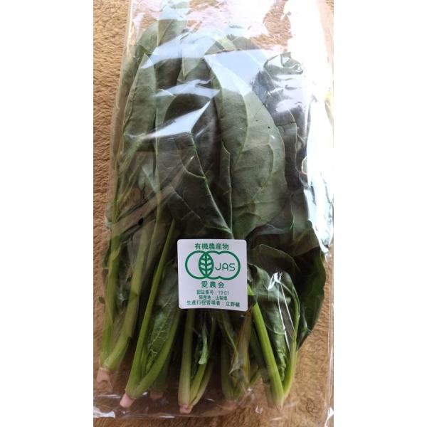 生産者：タテノファーム（山梨県明野町）有機JAS認証（有機許容農薬不使用）　　　爆買