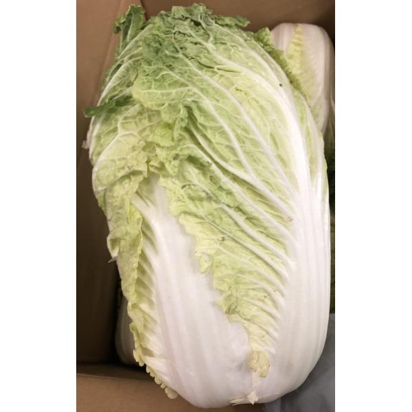 生産者：野口オーガニックファーム（宮崎県えびの市）防除：農薬0回・化肥0回栽培は有機JAS認証ですが、箱から出すため有機JASマークが無い状態のお届けとなります。そのため栽培は、防除：農薬0回・化肥0回、となります。