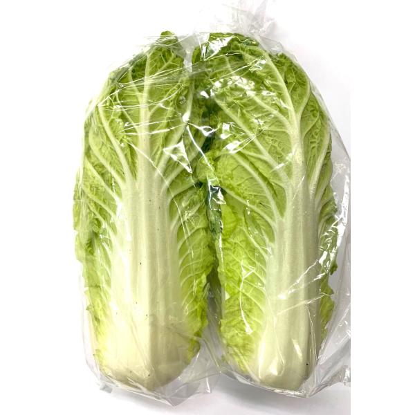 生産者：くらぶち草の会（群馬県高崎市）防除：農薬0回・化肥0回品種：わわ菜（結球するタイプです）◆ 準高原産地の葉物が絶好調！標高1000ｍを超える高原はもう冬、収束に向かいますが、くらぶち草の会のように標高700m前後の準高原産地の葉物た...