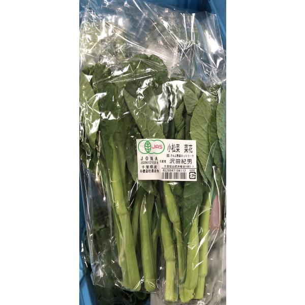 生産者：さんぶ野菜ネットワーク（千葉県山武市）有機JAS認証(許0)葉物はトウが立つと固くなり美味しくなくなるのが普通ですが、アブラナ科にはトウが立ち蕾が付いても美味しいものがあり、それらを野菜の菜花としてきました。小松菜もトウが立つと固く...