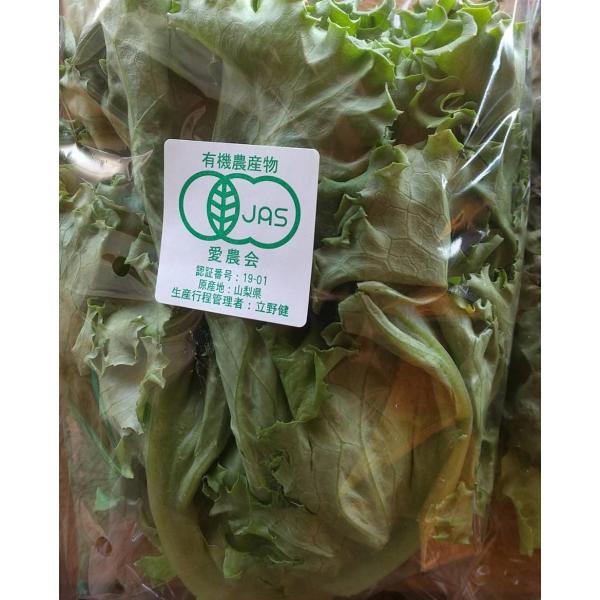 生産者：タテノファーム（山梨県明野町）有機JAS認証（有機許容農薬不使用）　　　爆買
