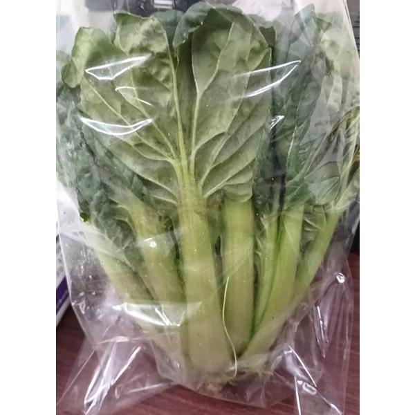 生産者：佐々木武彦（茨城県石岡市）防除：農薬0回・化肥0回ターサイは白菜やチンゲンサイ（青梗菜）の仲間の中国由来の野菜で、濃い緑色の照りのある葉が特徴です。くせがなく甘みがあり、油との相性もよく、肉野菜炒めなど中華料理では定番の野菜です。鍋...