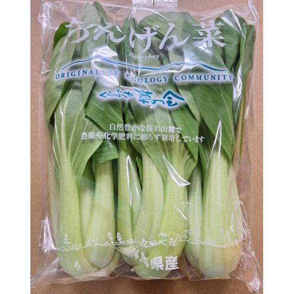 生産者：くらぶち草の会（群馬県倉渕村）防除：農薬0回・化肥0回　　爆買