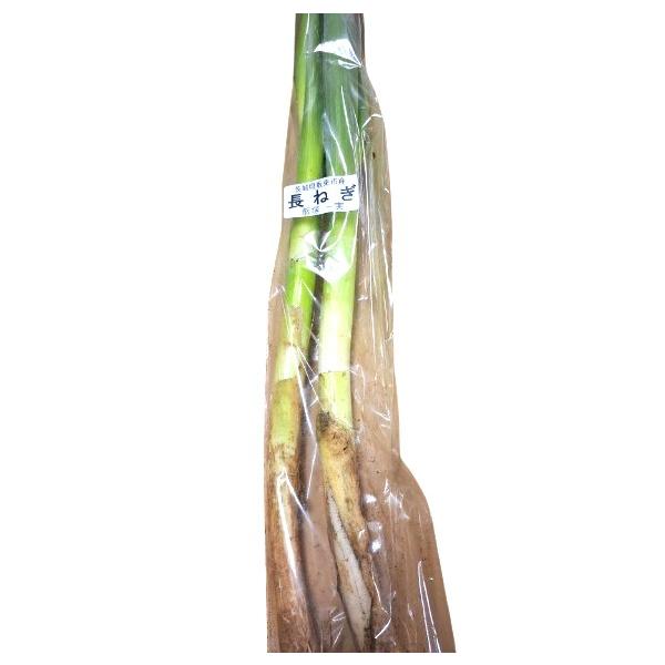 生産者：飯塚一実（茨城県坂東市）防除： 農薬5割減（虫5菌5）（許1）・7割減爆買