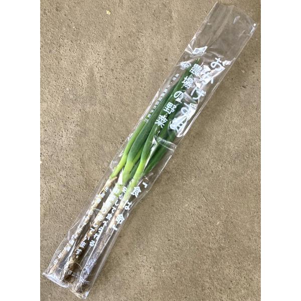 生産者：おかげさま農場（千葉県成田市）防除：農薬0回・化肥0回爆買