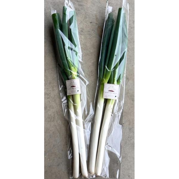 生産者：農栄社（山梨県北杜市）防除：農薬0回・化肥0回