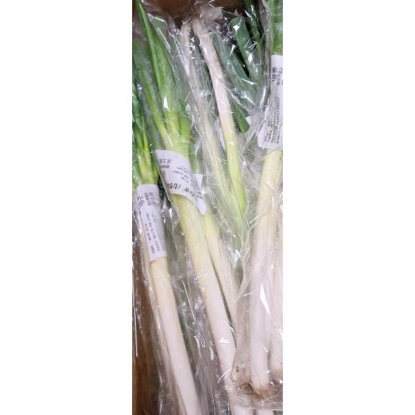 生産者：沃土会（埼玉県深谷市）防除：農薬6割減（虫7菌1）（許2）・化肥0回　　