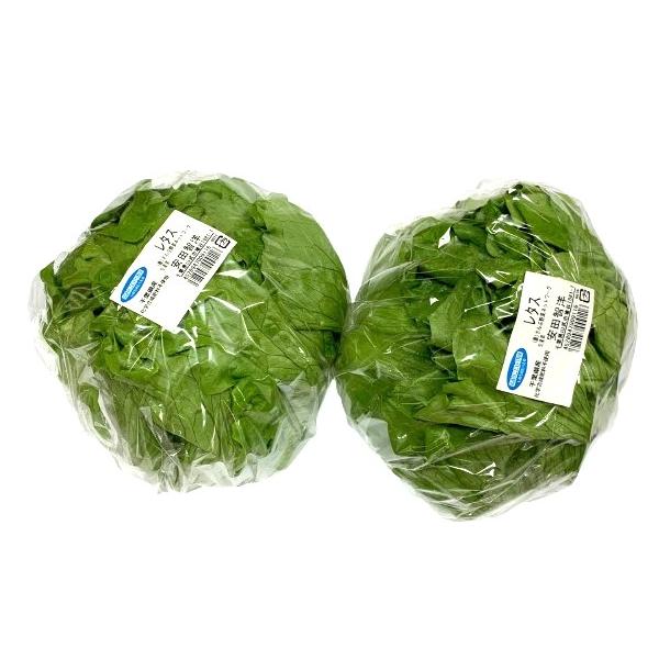 生産者：さんぶ野菜ネットワーク（千葉県山武市）防除：農薬0回・化肥0回　　　爆買