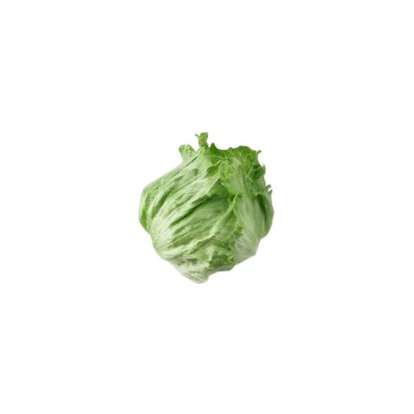 生産者：北軽有機ファミリィ（群馬県長野原町）防除：農薬6割減（虫2菌4)・化肥5割減　