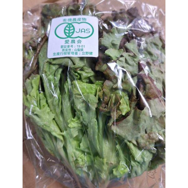 生産者：タテノファーム（山梨県明野町）有機JAS認証（有機許容農薬不使用）　　　爆買