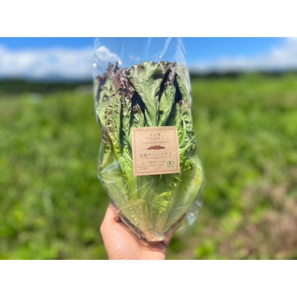 生産者：農栄社（山梨県北杜市）有機JAS認証（有機許容農薬不使用）　　　爆買