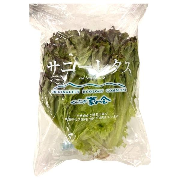 生産者：くらぶち草の会（群馬県高崎市）防除：農薬0回・化肥0回　　