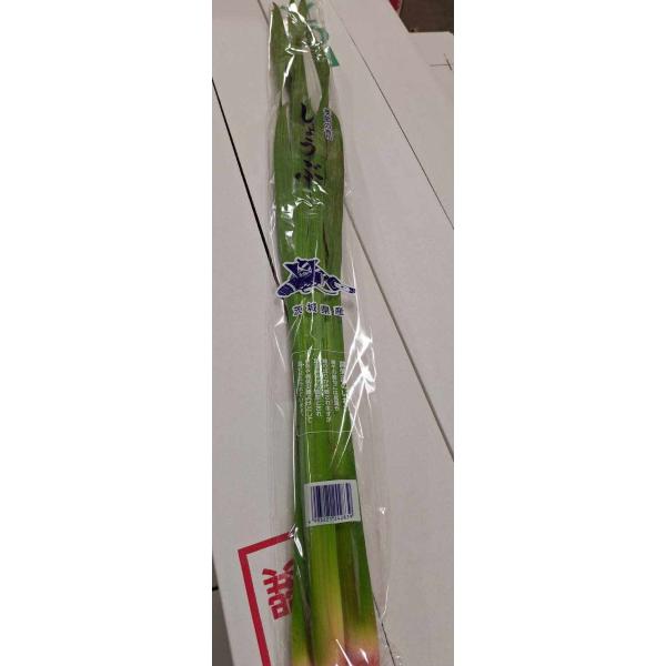 生産者：横瀬農園（茨城県行方市）防除：農薬0回・化肥0回有機の圃場で栽培していますが、食品ではないためJASシールは貼っていません。端午の節句は別名「菖蒲の節句」といわれるように、古来から菖蒲が主役の厄払い行事だったそうです。その香り成分に...