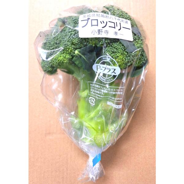 生産者：小野寺孝一（茨城県八千代町）防除：農薬7割減（虫5菌2）（許2）・化肥0回