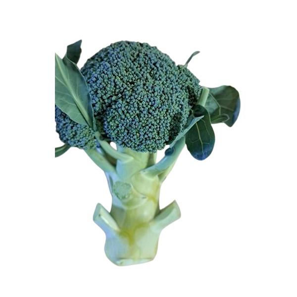 生産者：匠ファーム（長崎県雲仙市）有機JAS認証（許0）茹ででそのままでも美味しいですが、肉と一緒に炒めるととてもバランスのよいおかずになりますよ！爆買