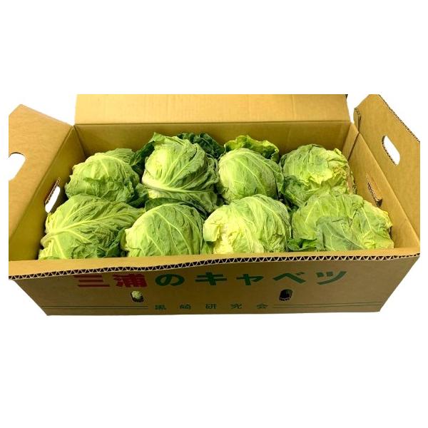 生産者：黒崎有機栽培研究会（神奈川県三浦市）防除：農薬6割減(虫2菌4）（許1)・化肥7割減毎年大評判の柔らかくておいしい春キャベツです。品種は金系201でふわっとしたキャベツ。最後の2週間くらいは中早生二号という品種になります。これはサワ...